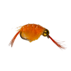 Set of 42 Bead Head Scuds in Assorted Colors – Fly Fishing Charlotte